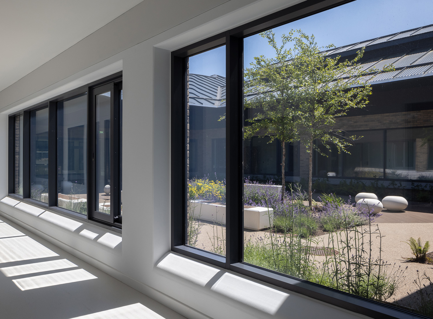 National Forensic Mental Health Service Hospital | Medical Architecture National Forensic Mental Health Service Hospital | Medical Architecture