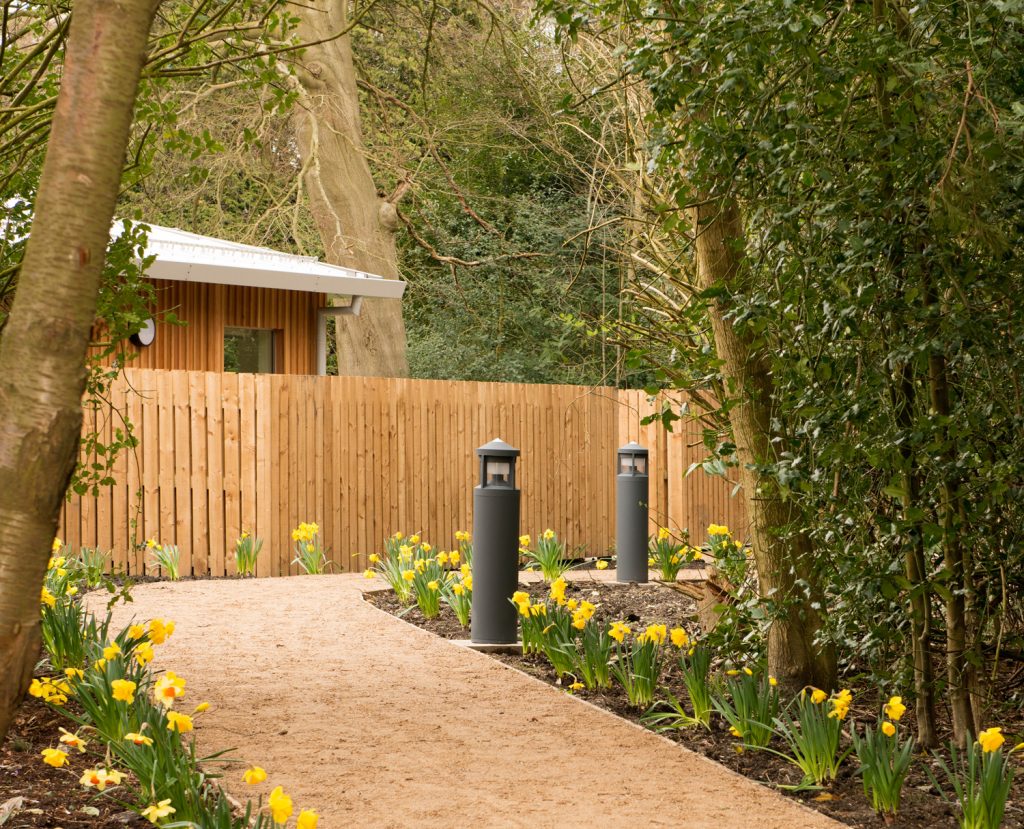 Neurodiversity and Autism | Medical Architecture